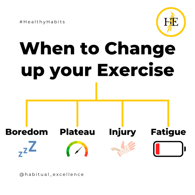 Lifelong Fitness: The Complete Guide to Exercise for Life - Habitual ...